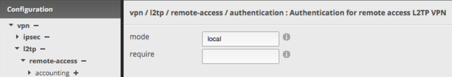 Set up VPN for a Ubiquiti EdgeRouter
